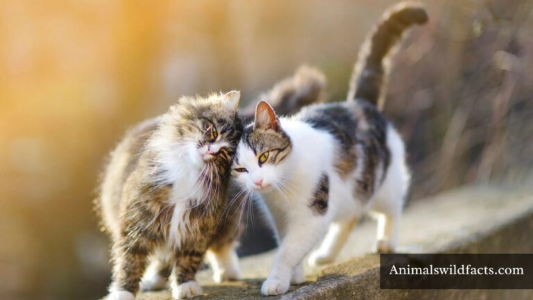 Top 17 Clumsy Animals in The World (With Pictures)
