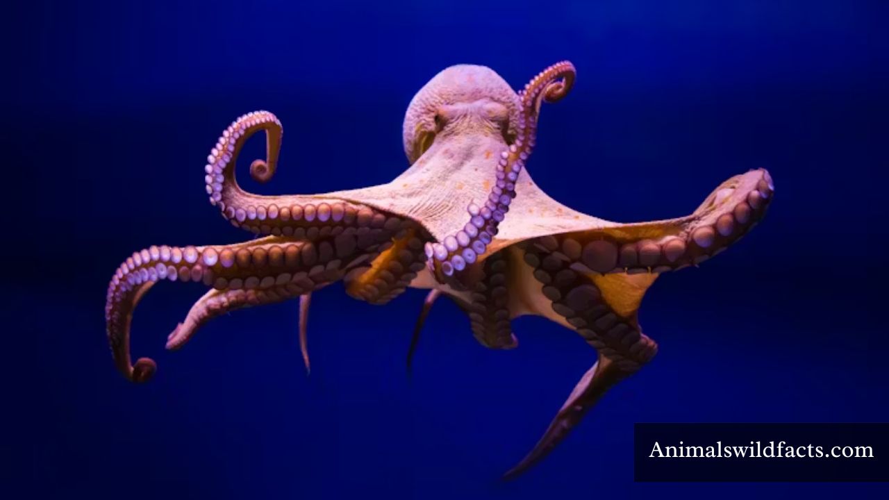 Top 19 Animals with no legs (Pictures Included)