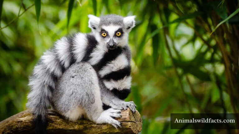 Top 17 Striped Animals in the World (With Pictures)
