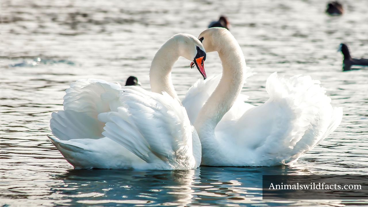 Top 20 Most Docile Animals in the World (With Images)