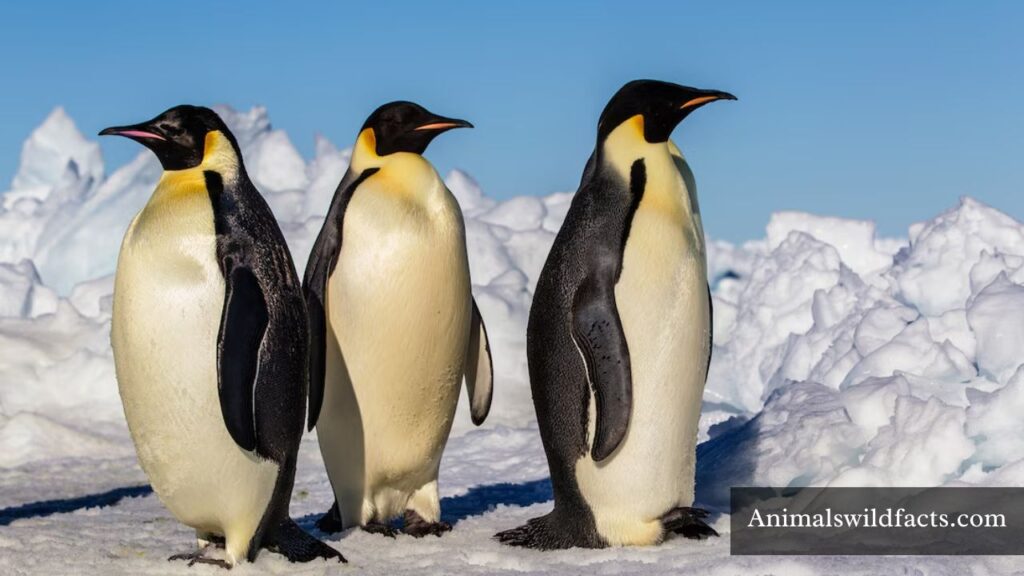 Top 22 Quiet Animals in the World (With Images)